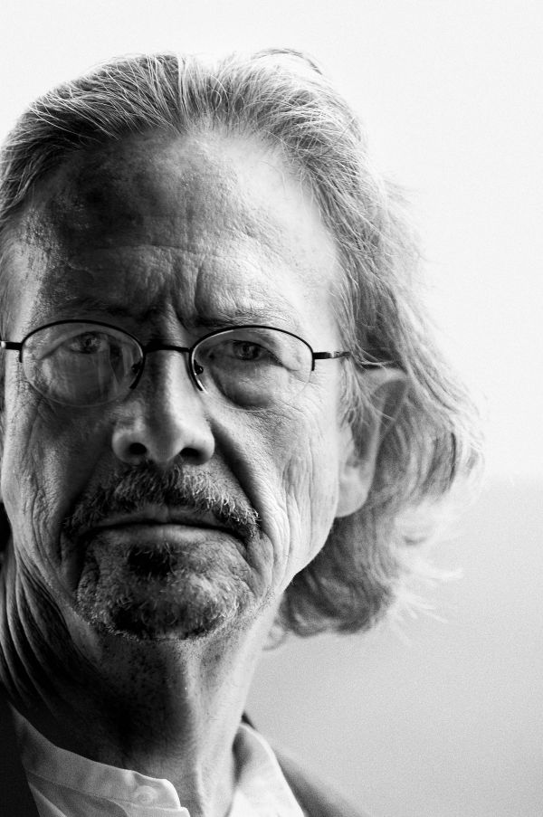 Home | Mondadori Portfolio